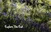 Explore the Esk - Esk Valley Trust
