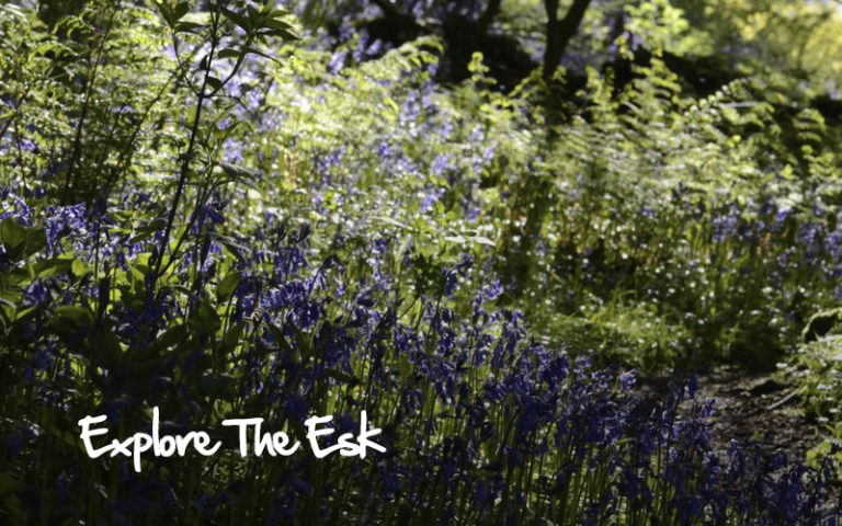 Explore the Esk - Esk Valley Trust